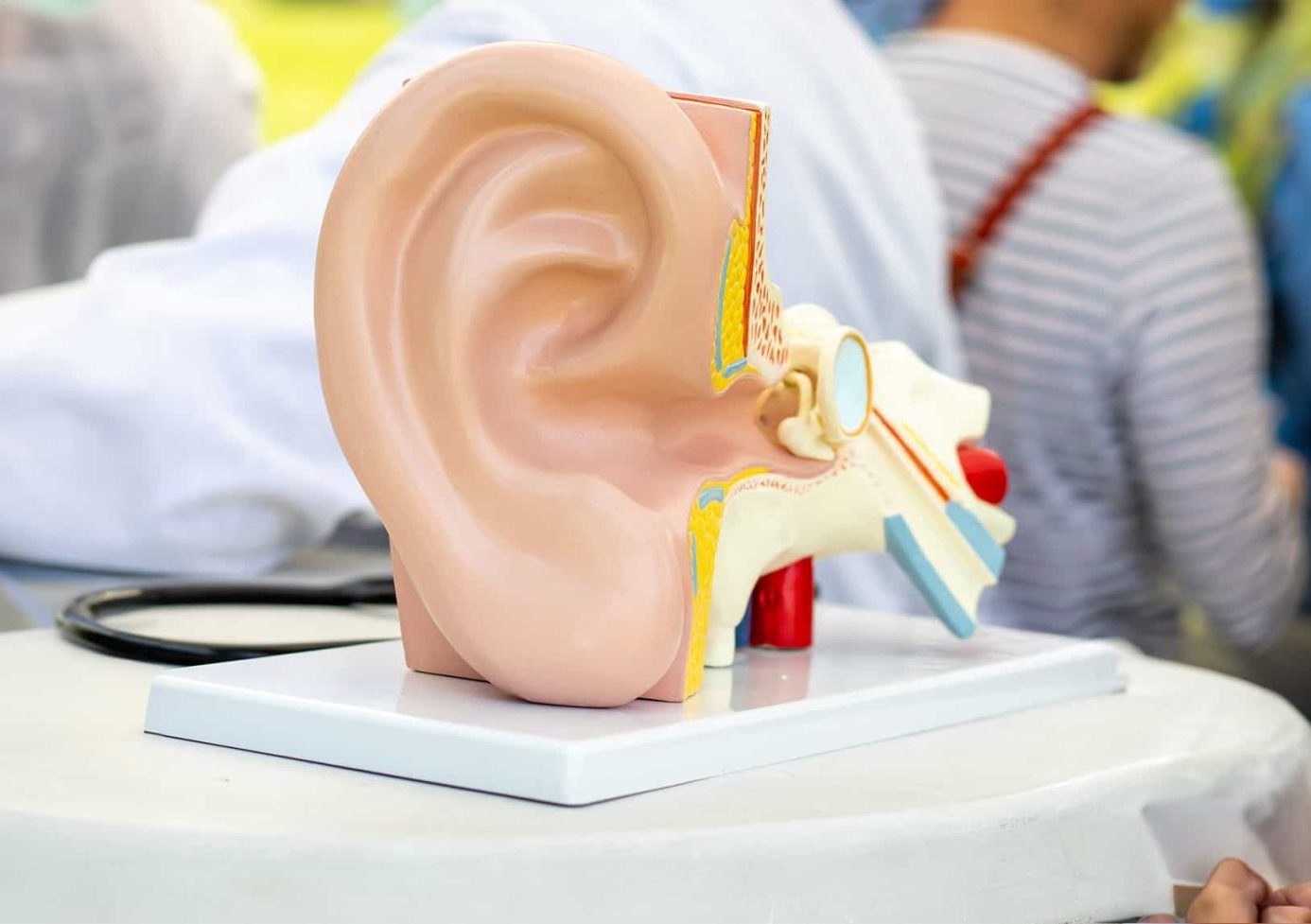 Cochlear Adjustments - All Things Hearing
